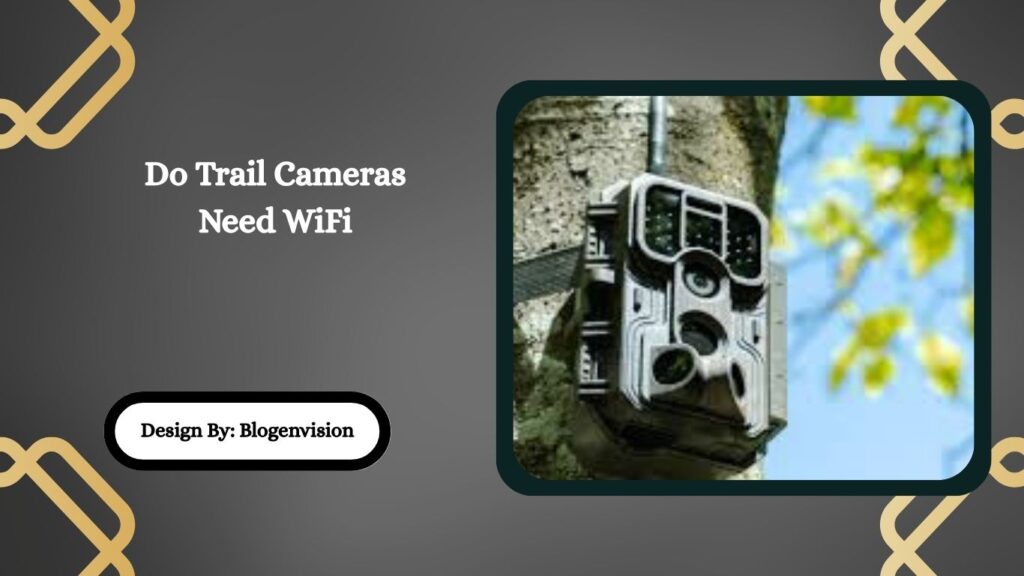 Do Wyze Cameras Require A Subscription – Full Guide! - Blogenvision