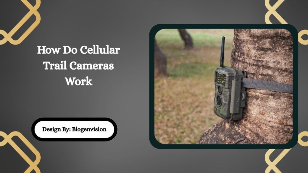 Do Ring Cameras Require A Subscription – Full Guide! - Blogenvision